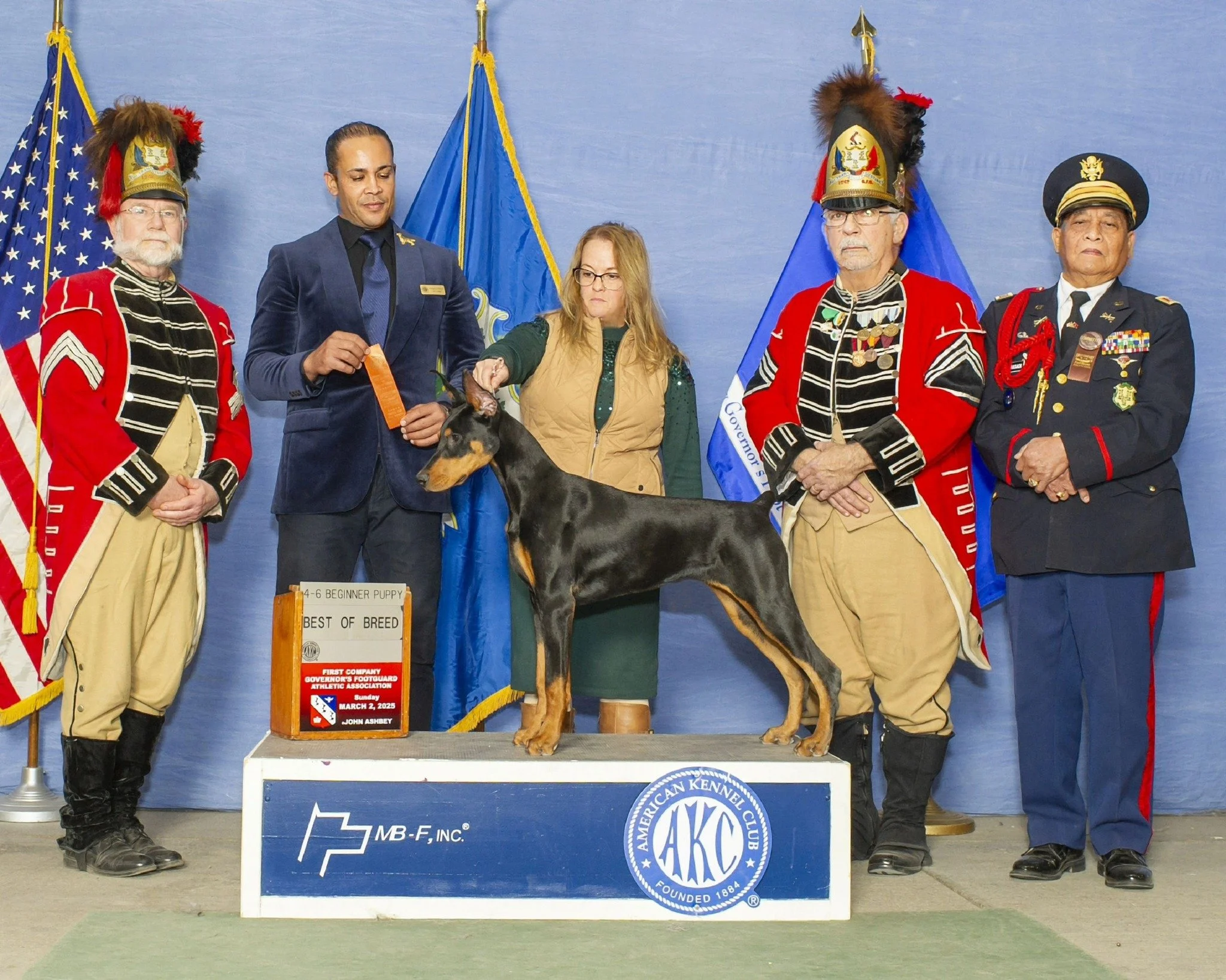 Currently Showing — Amity Dobermans