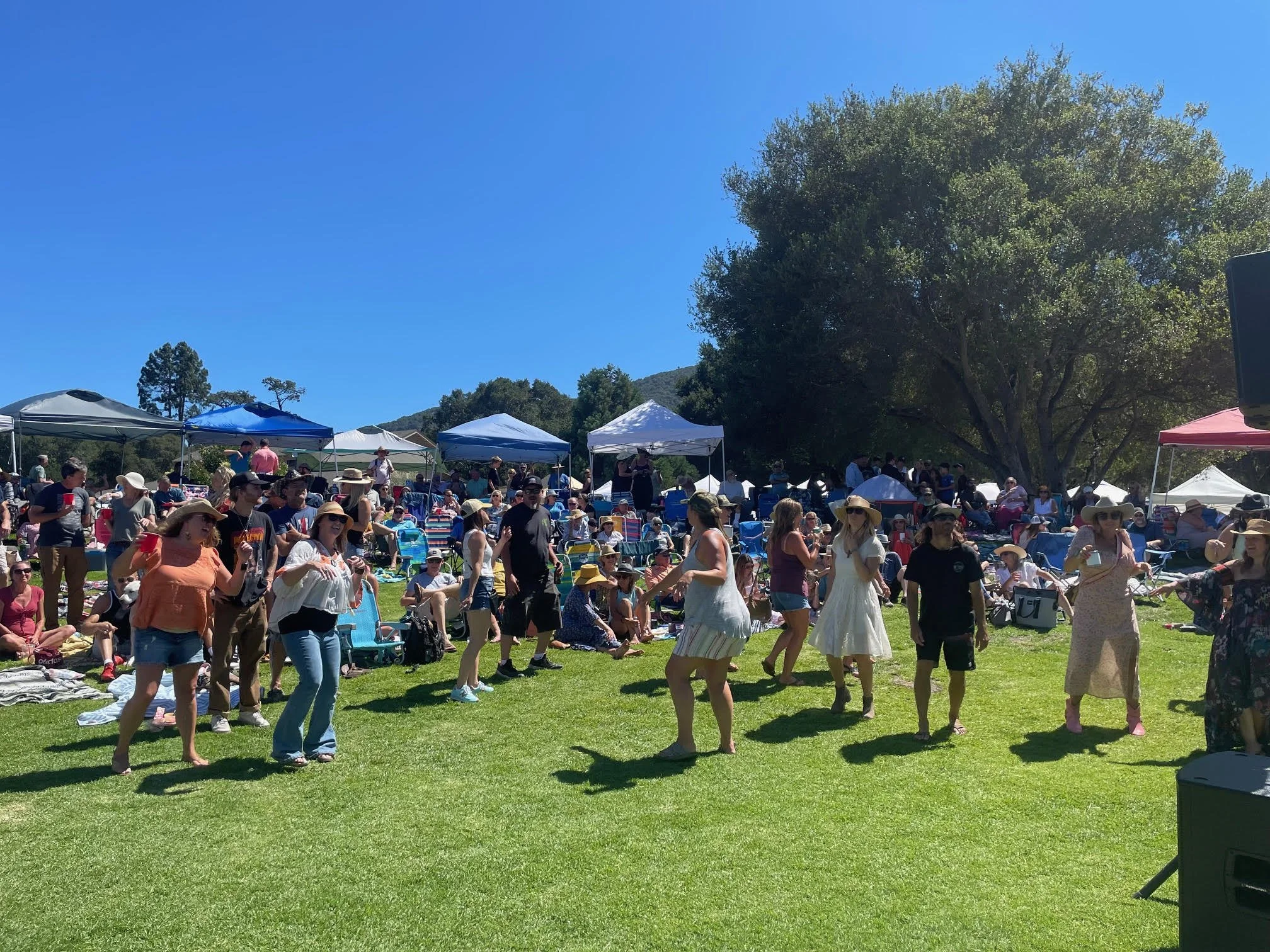 Fiesta Week Schedule — Carmel Valley Kiwanis