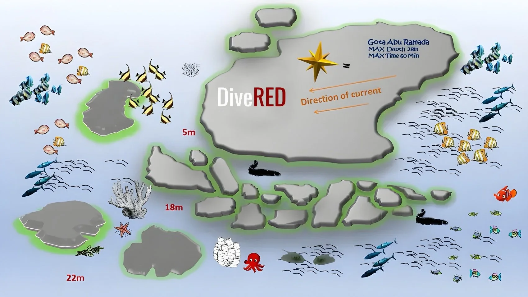 Gota Abu Ramada Dive | Turtles & Bannerfish in Hurghada — Dive RED