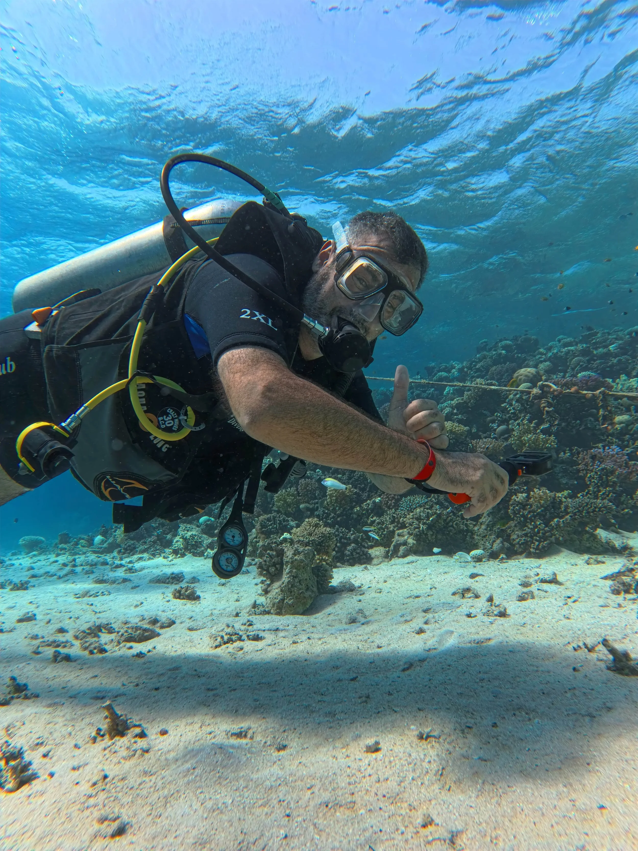 Book Dives and Courses in Hurghada — Dive RED