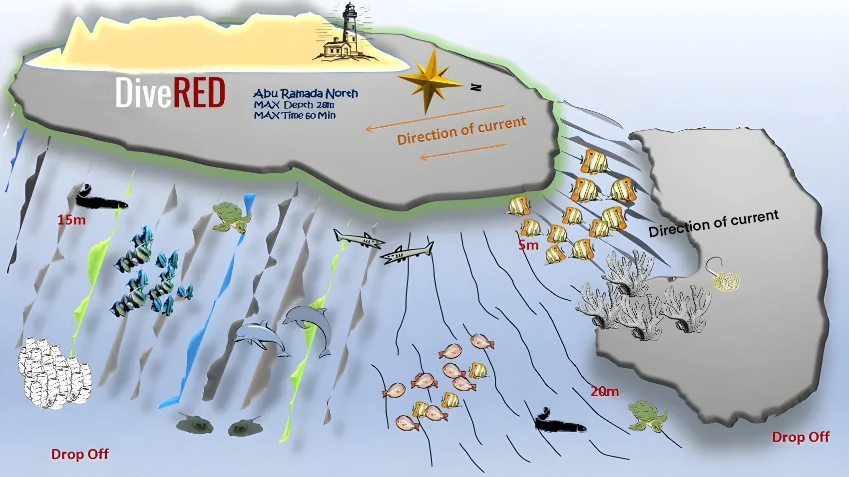 Abu Ramada North Dive | Advanced Shark Dive in Makadi — Dive RED