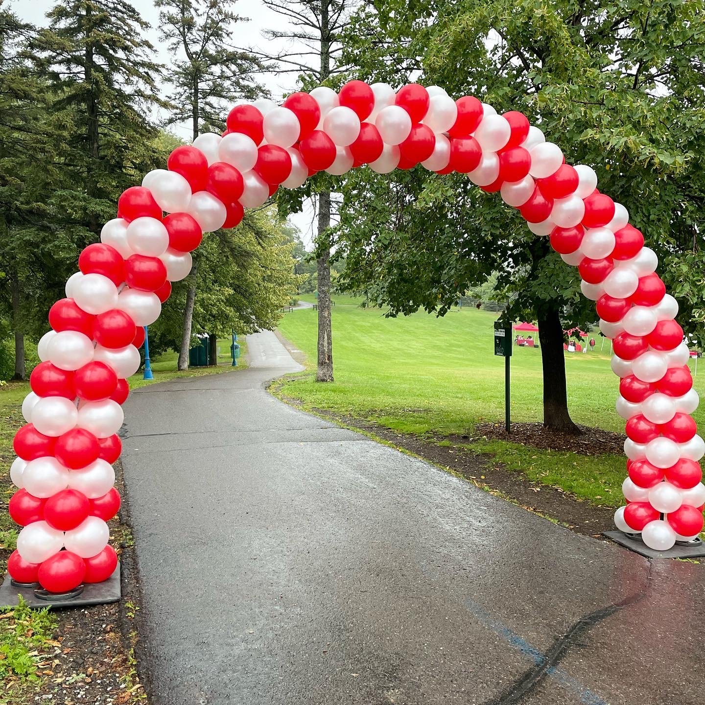 Classic Balloon Arch — Lauralloons