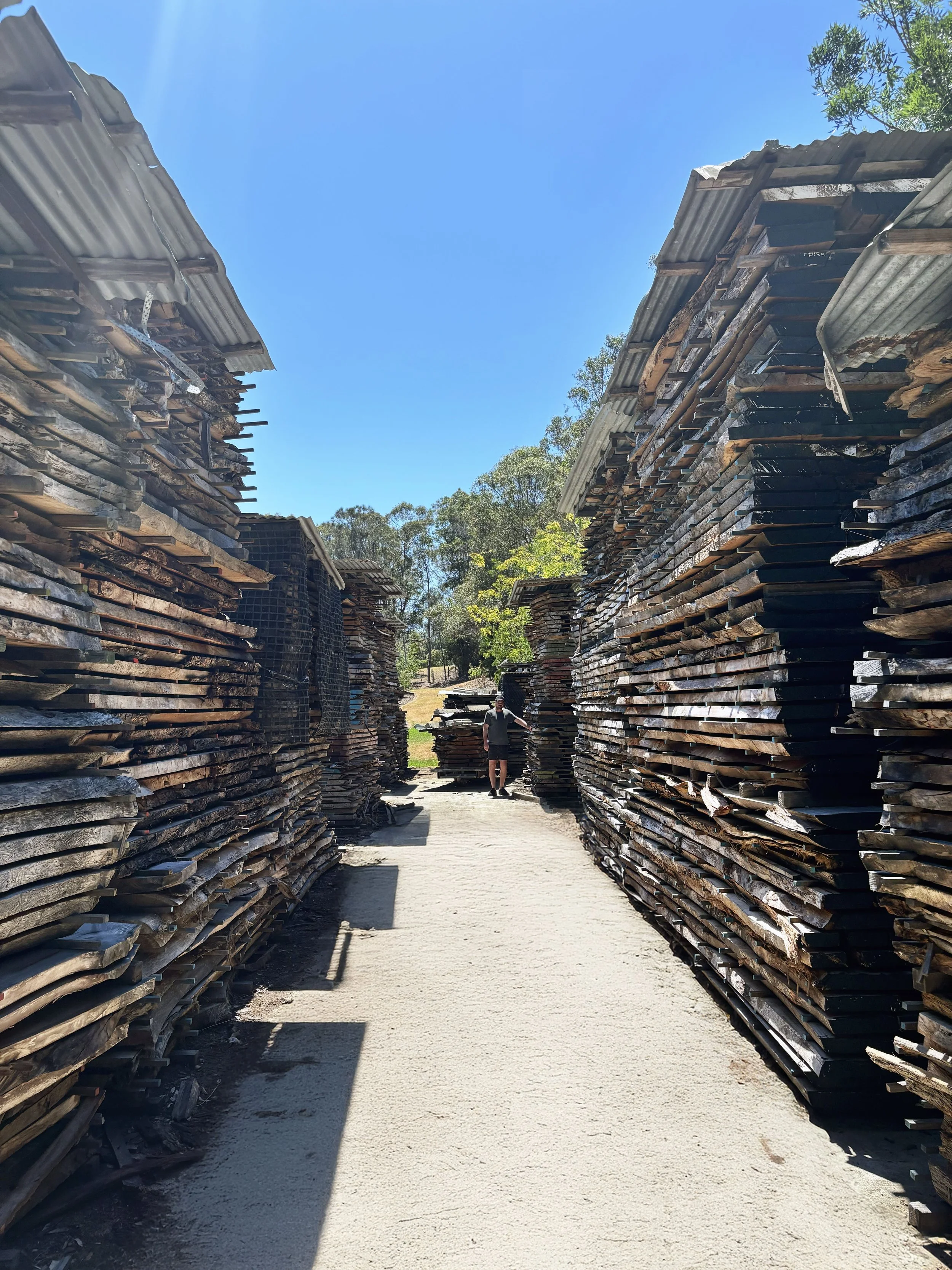 Raw Timber Slabs — Newcastle Timber Slabs | Sustainable Australian ...
