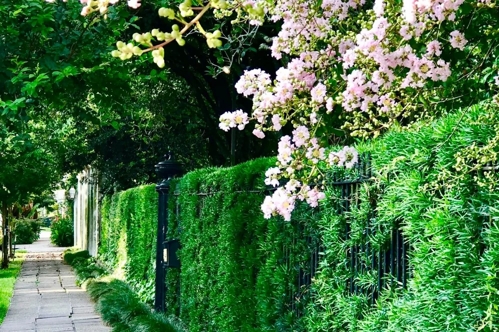 Garden District Walking Tours — Two Chicks Walking Tours