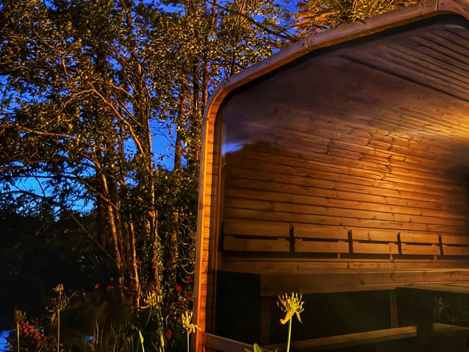 Treehouse Sauna | Relax by the River—Book Now