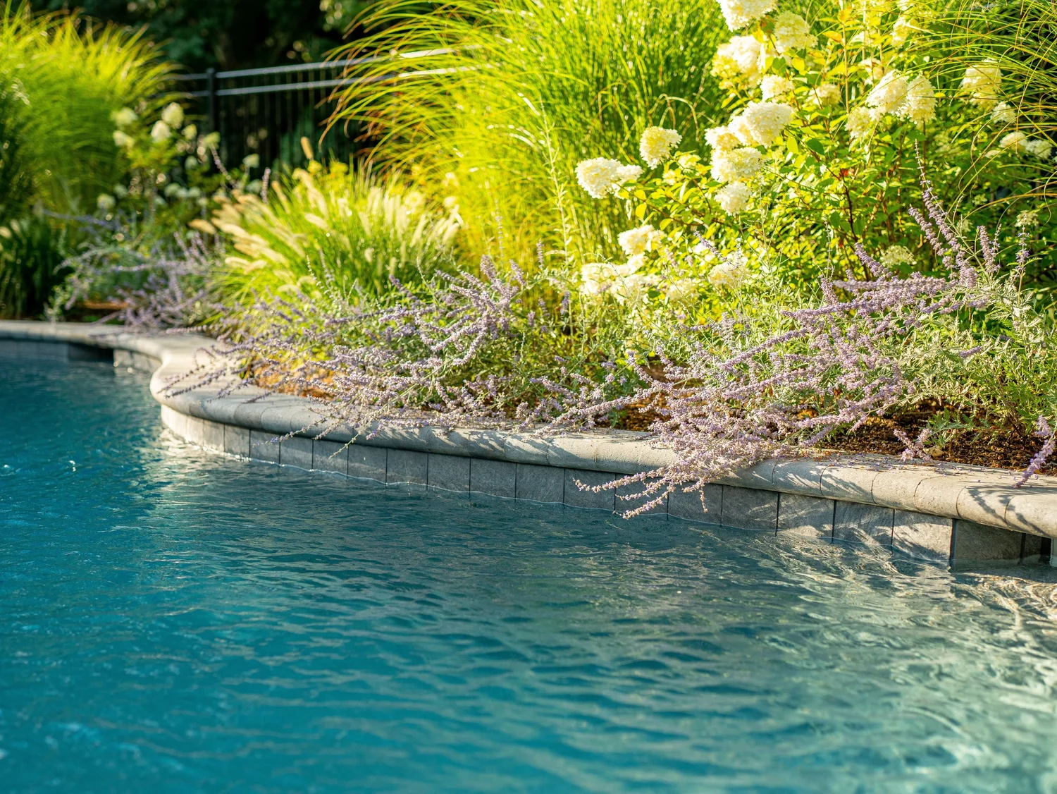 Why Professional Pool Designers Are Essential for Elizabeth, ME ...
