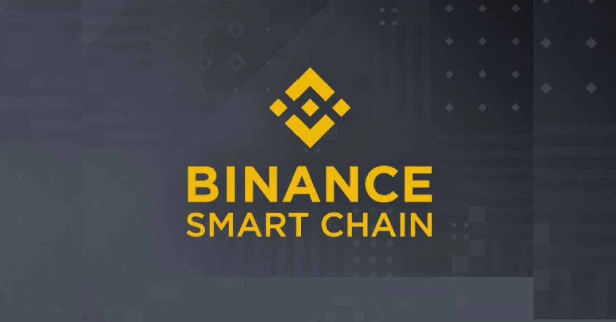 Intro to Binance Smart Chain — Crypto WendyO
