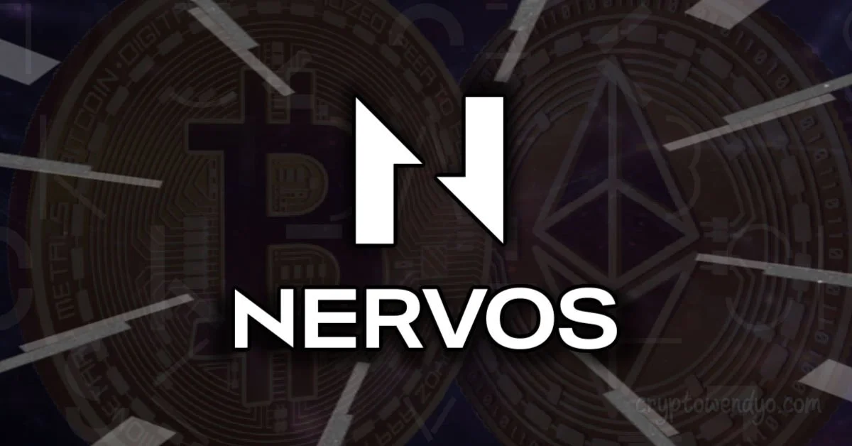 Bitcoin, Ethereum, Nervos: Inflationary or Deflationary? — Crypto WendyO