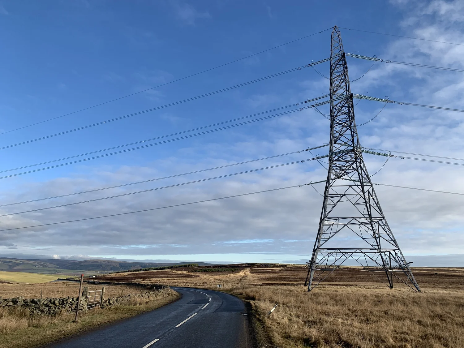 Action Against Pylons: Scottish Borders Alliance | Join the Fight Today
