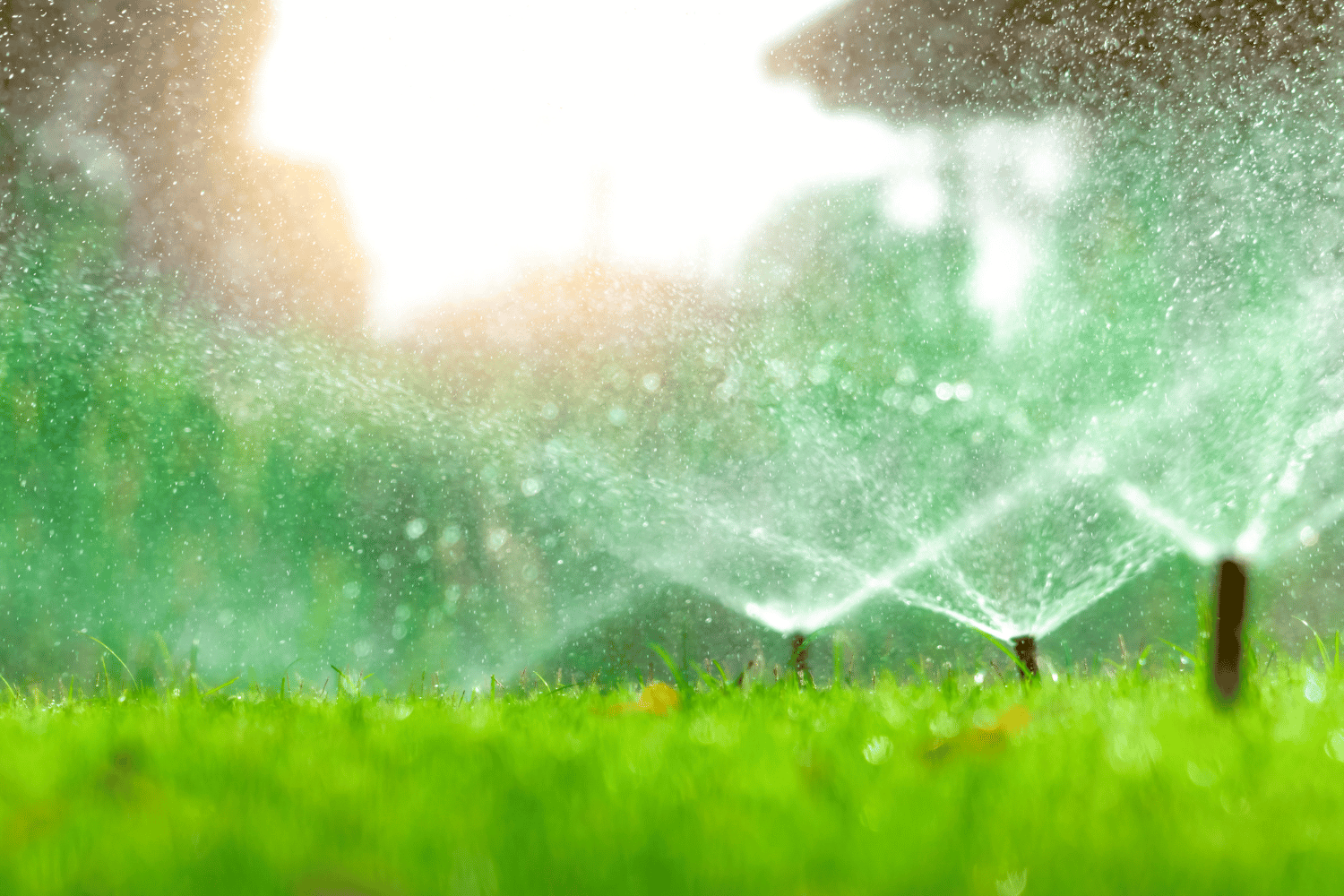 Sprinkler Systems — All Outdoor Solutions