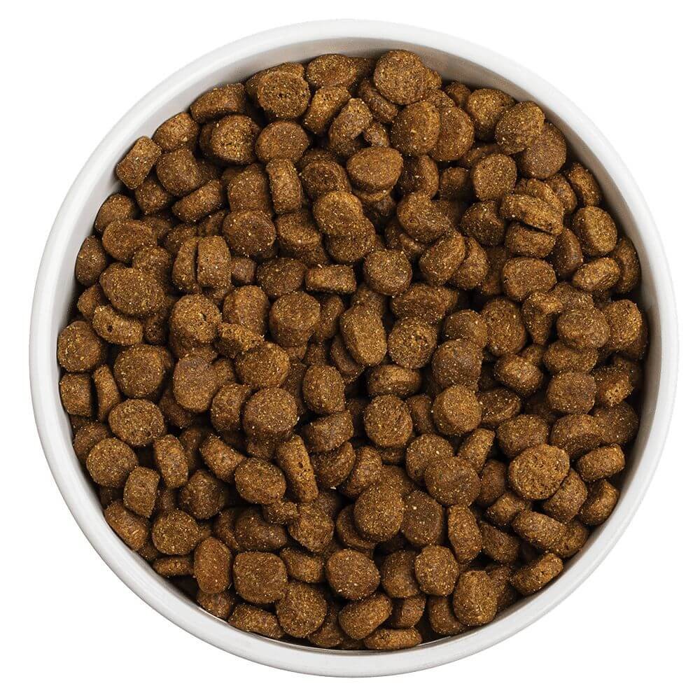 Dog-Kibble — One of the Family Pet Supply