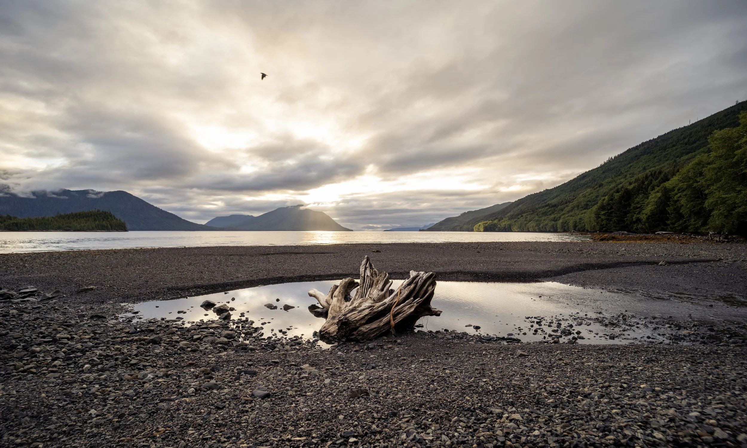 Go Haida Gwaii | Your Adventure Awaits!