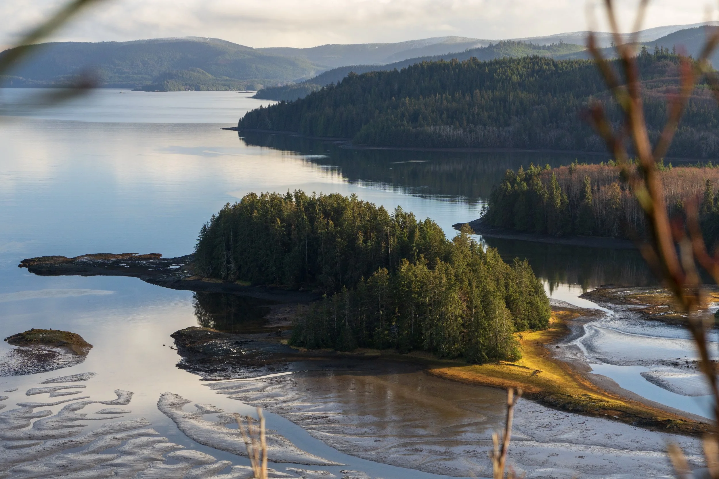 Go Haida Gwaii | Your Adventure Awaits!
