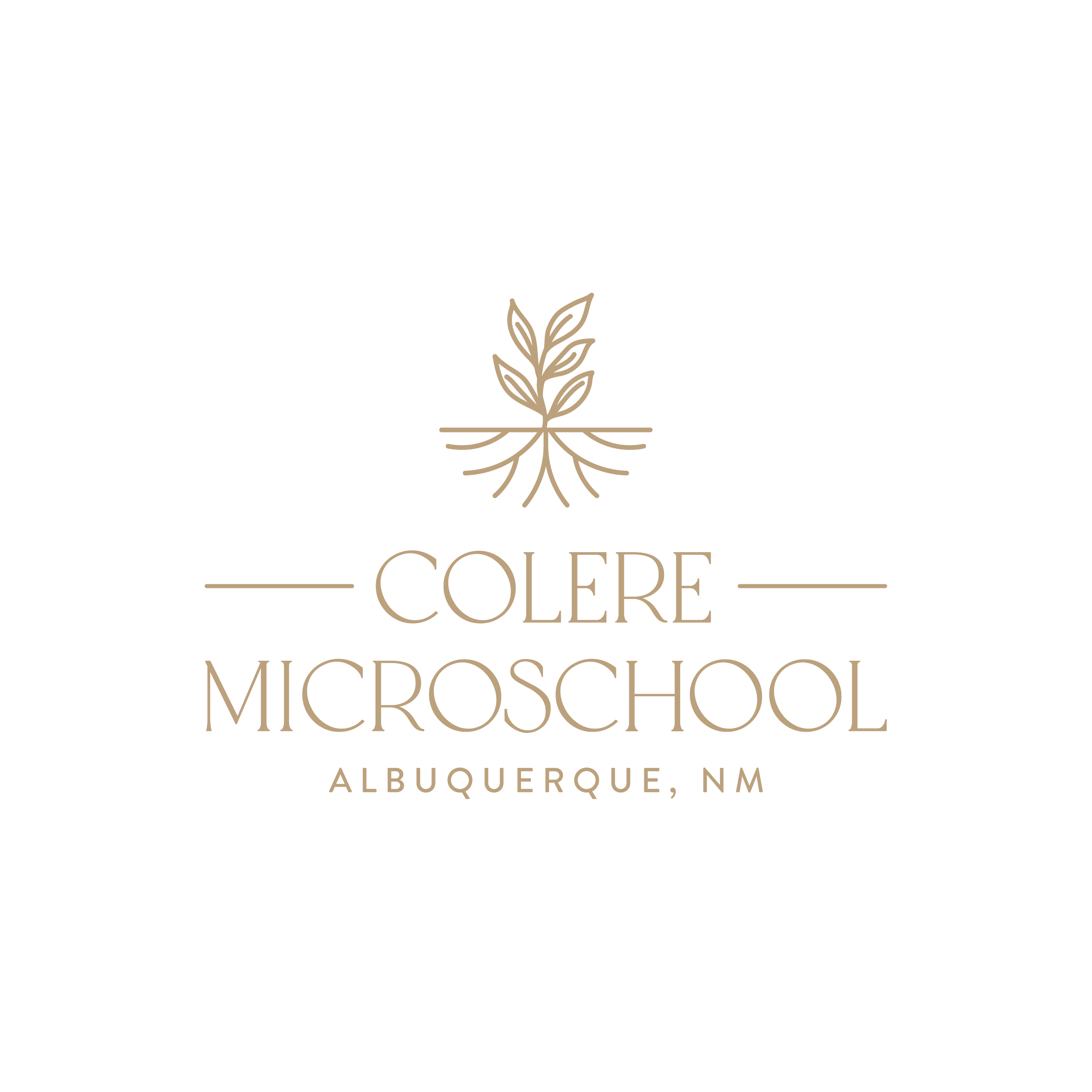 Admissions — Colere Microschool