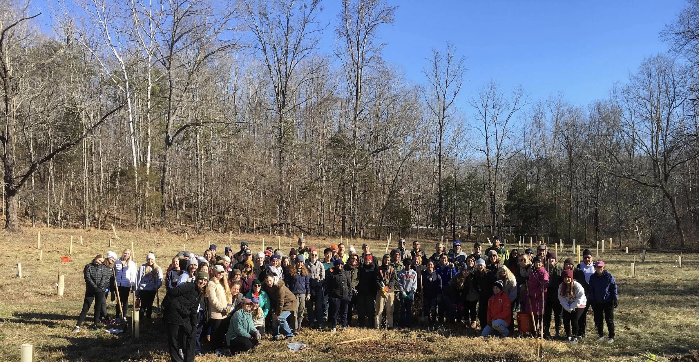 Triangle Tree Initiative — We Plant it Forward