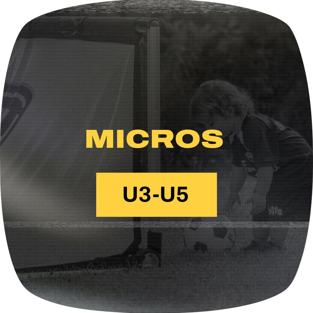 Programs — HCU Soccer