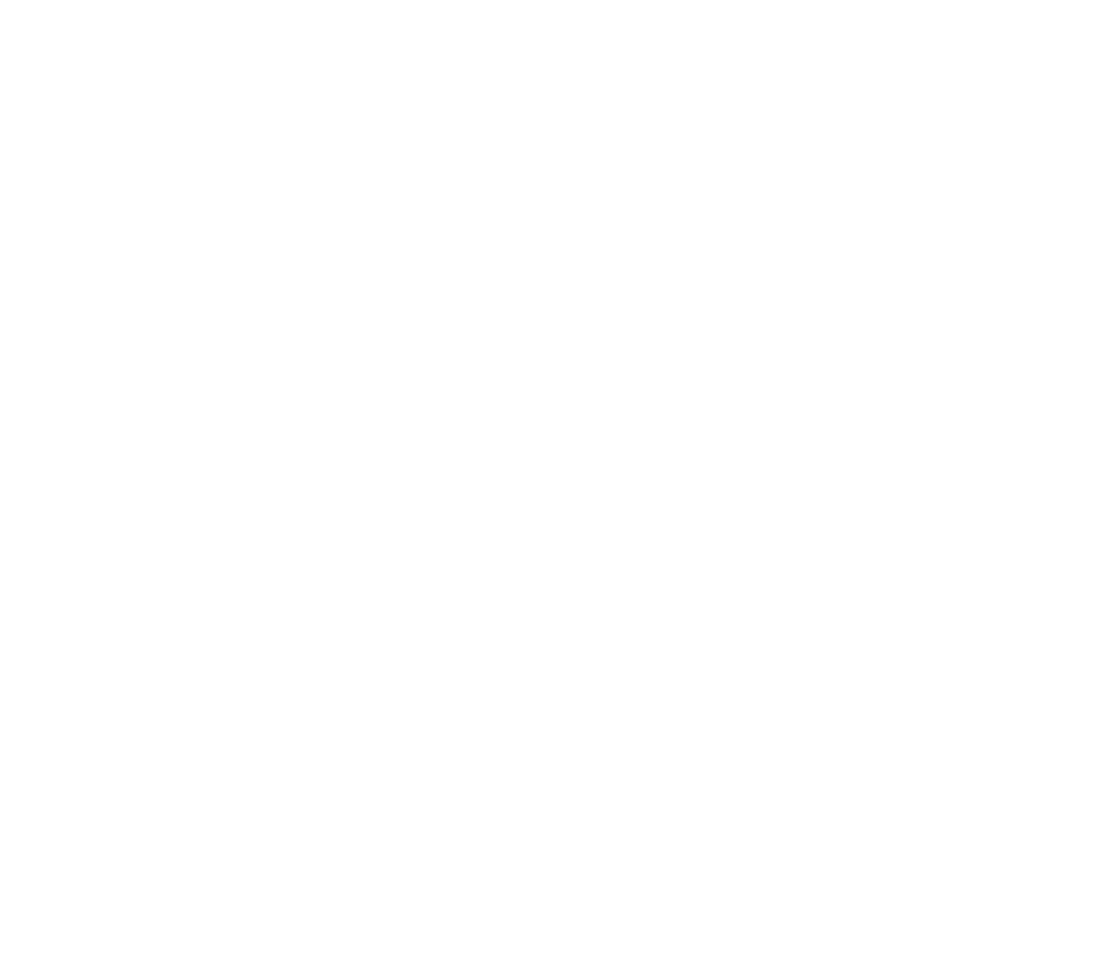 Peter Meinke Books — Ann Rittenberg Literary Agency, Inc.