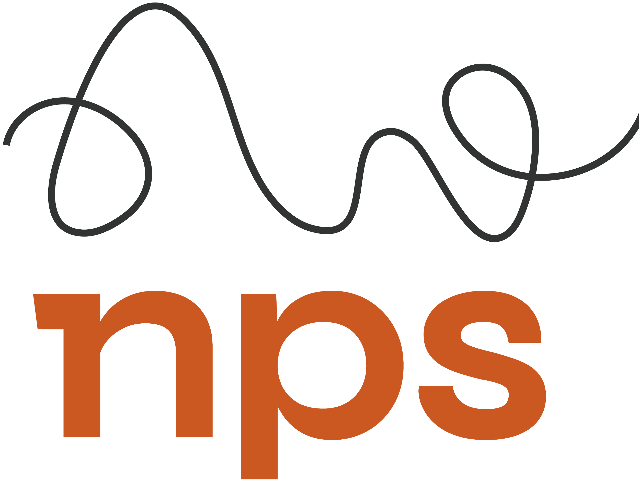 About — NPS Media Group