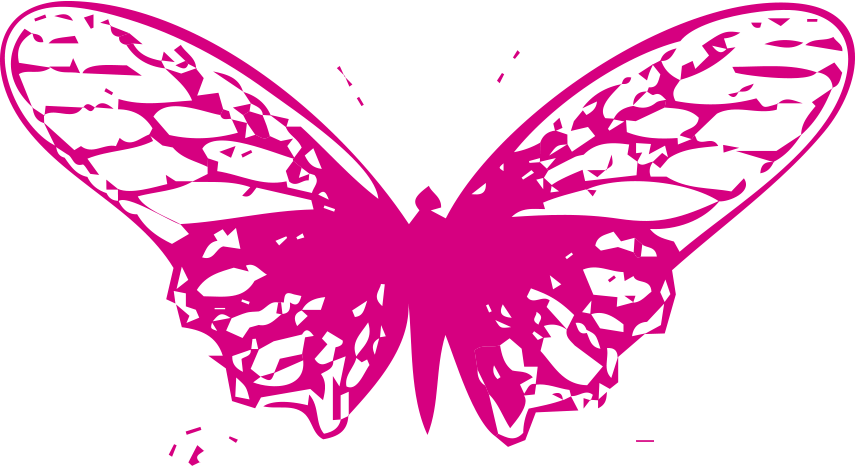 EB Research Partnership Australia | Help Cure EB