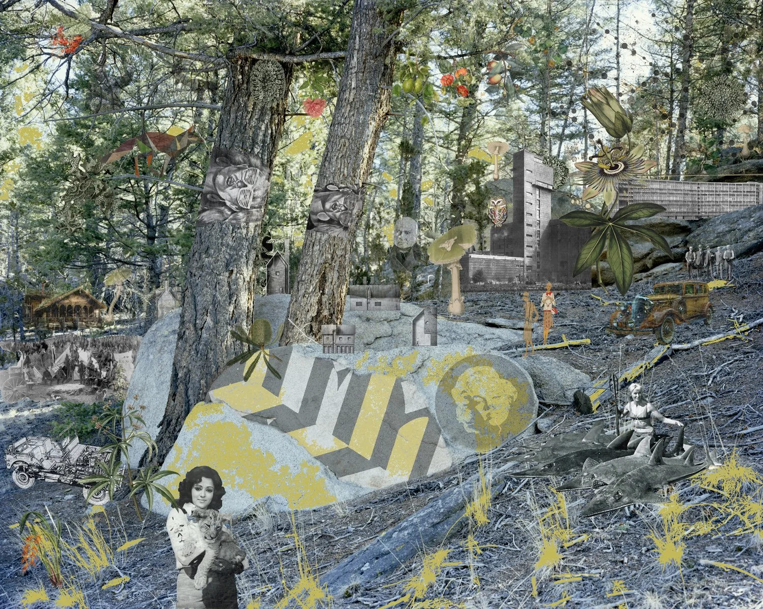 Martín Espada — Rejected Lit Magazine