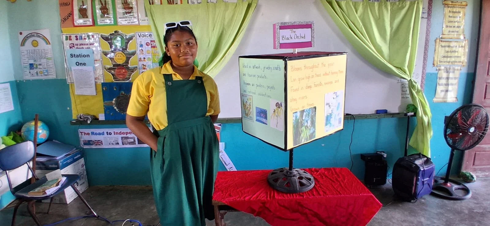 Standard Six Students Explore Belizean Identity Through Creative Visual ...