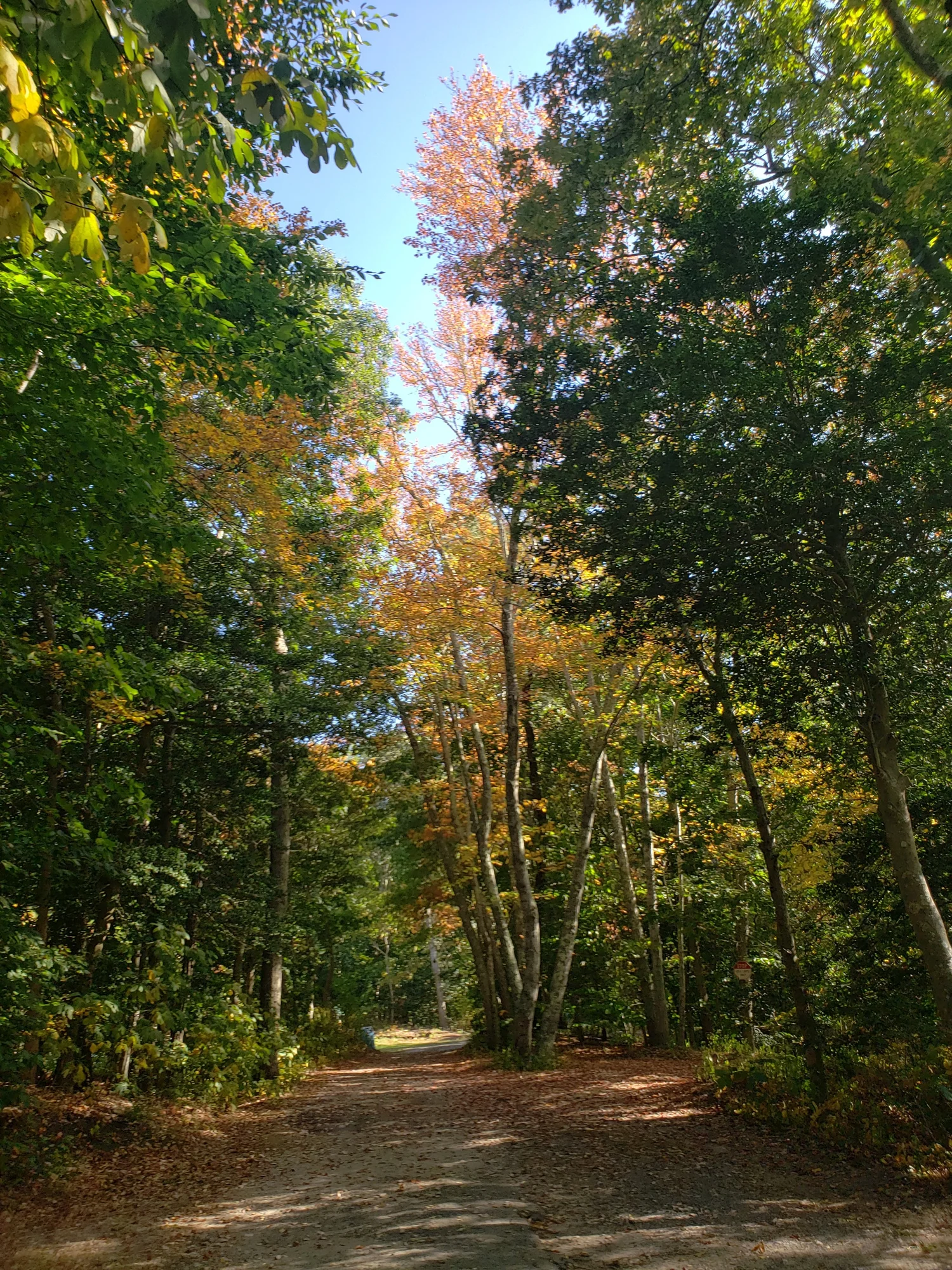 Contact & Directions — DunRoamin on Peters Pond