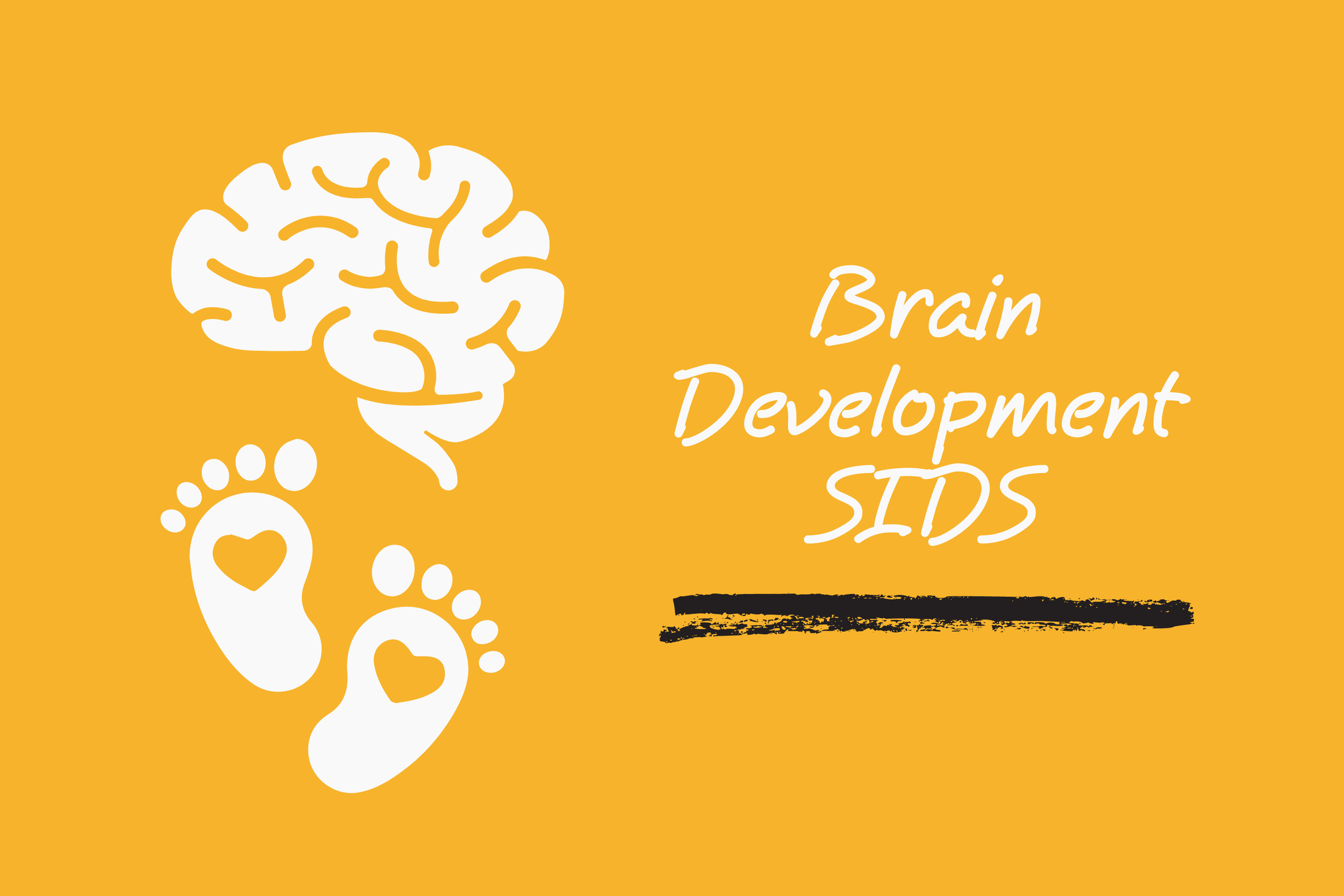 New Family Training Resources — Safe Haven Community Services