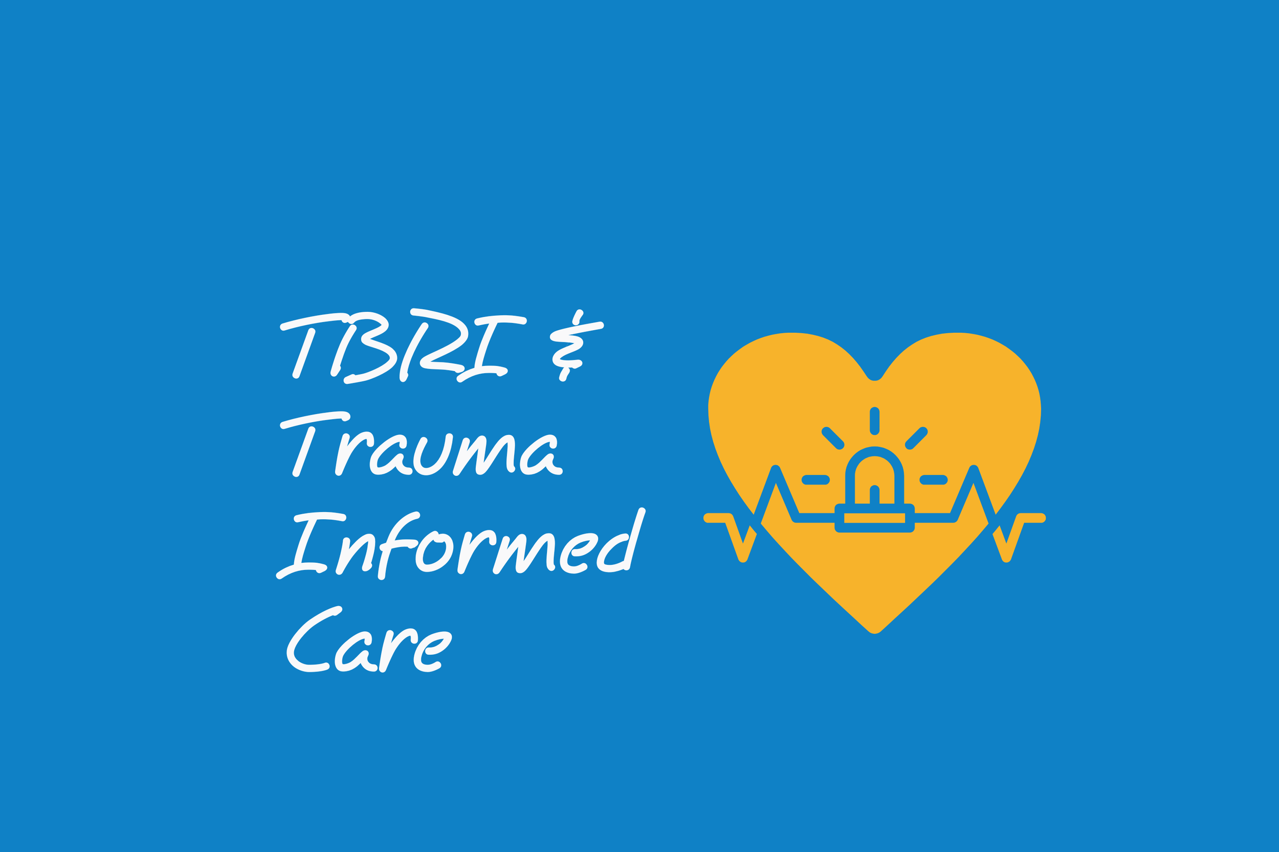 TBRI & Trauma Informed Care — Safe Haven Community Services