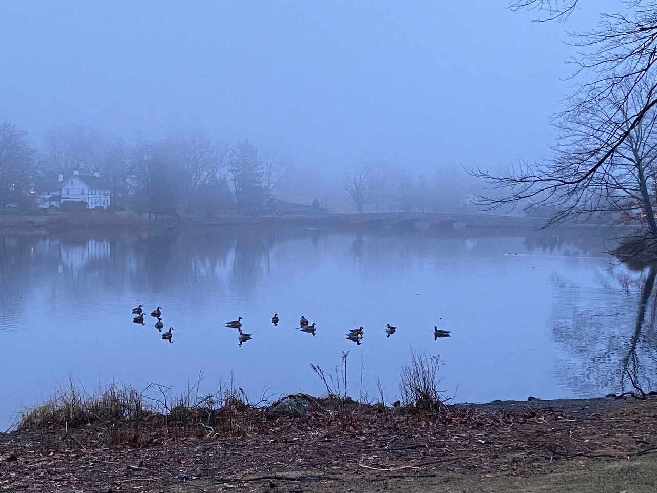 About Us — Friends of Gorham's Pond