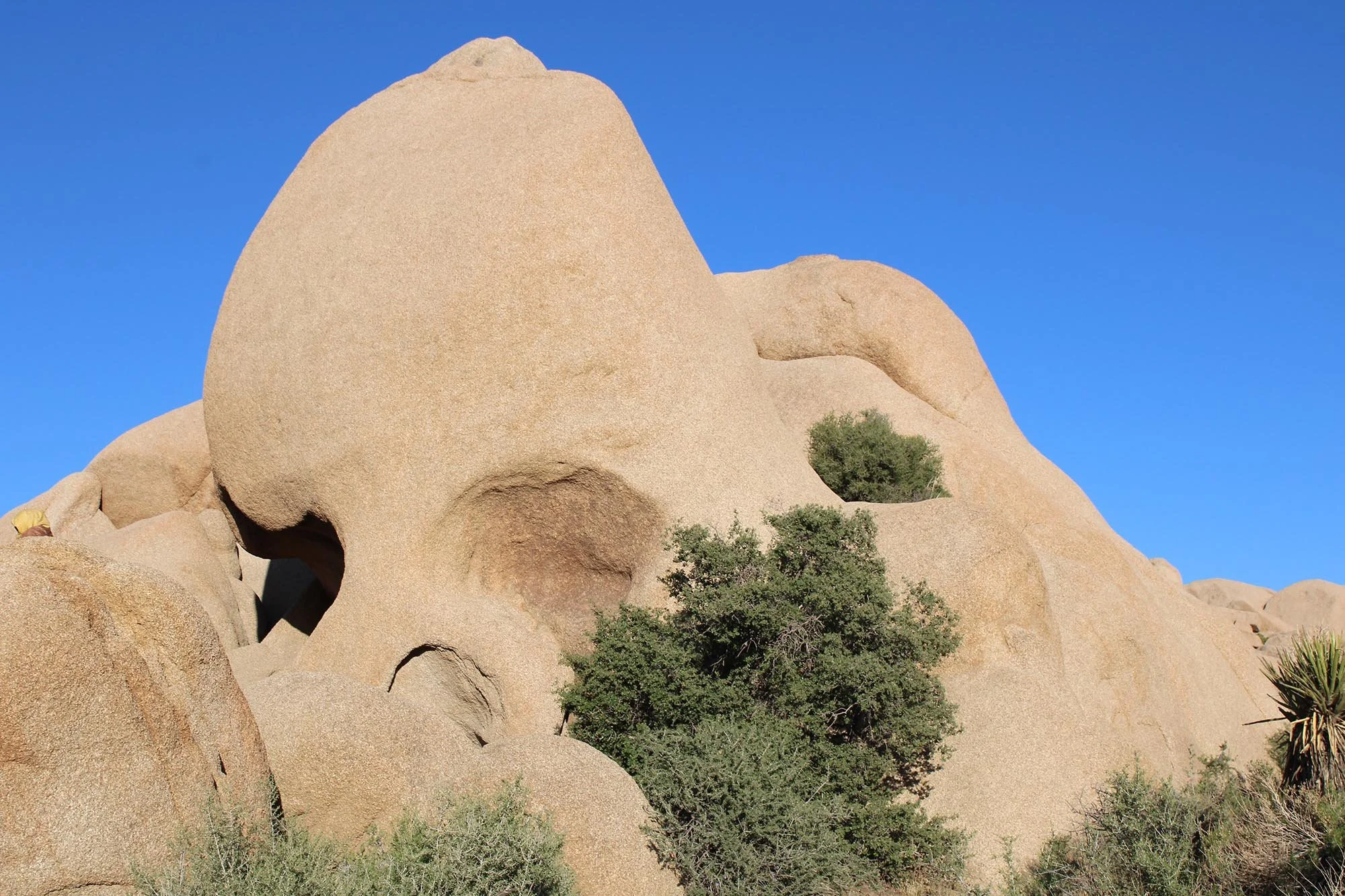 Meet Skull Rock, the spooky gem of Joshua Tree National Park — Actual ...