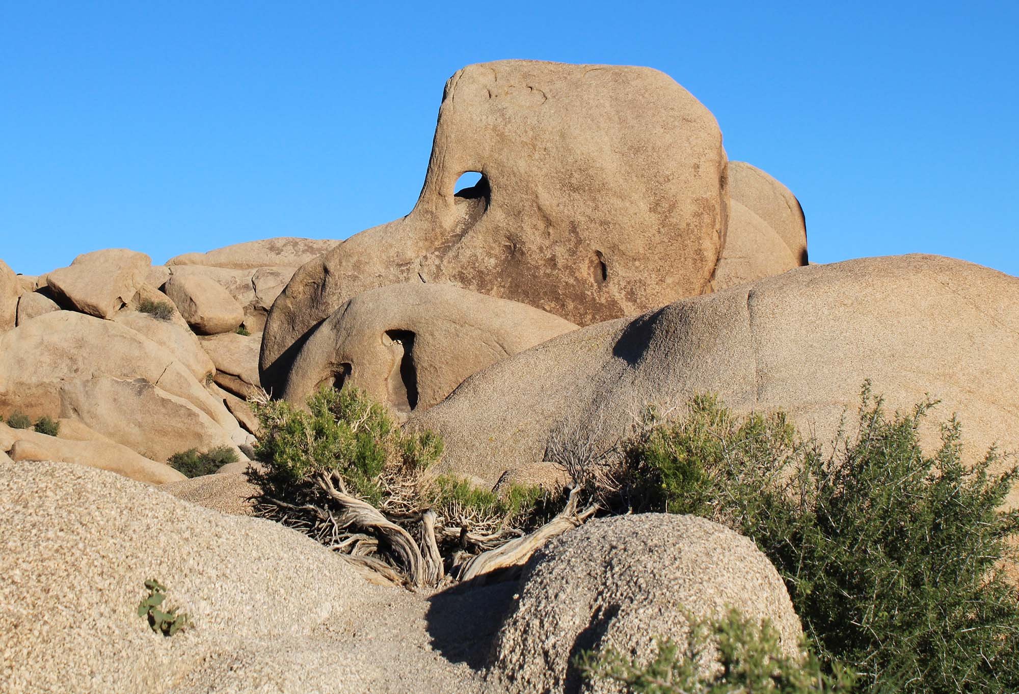 Meet Skull Rock, the spooky gem of Joshua Tree National Park — Actual ...