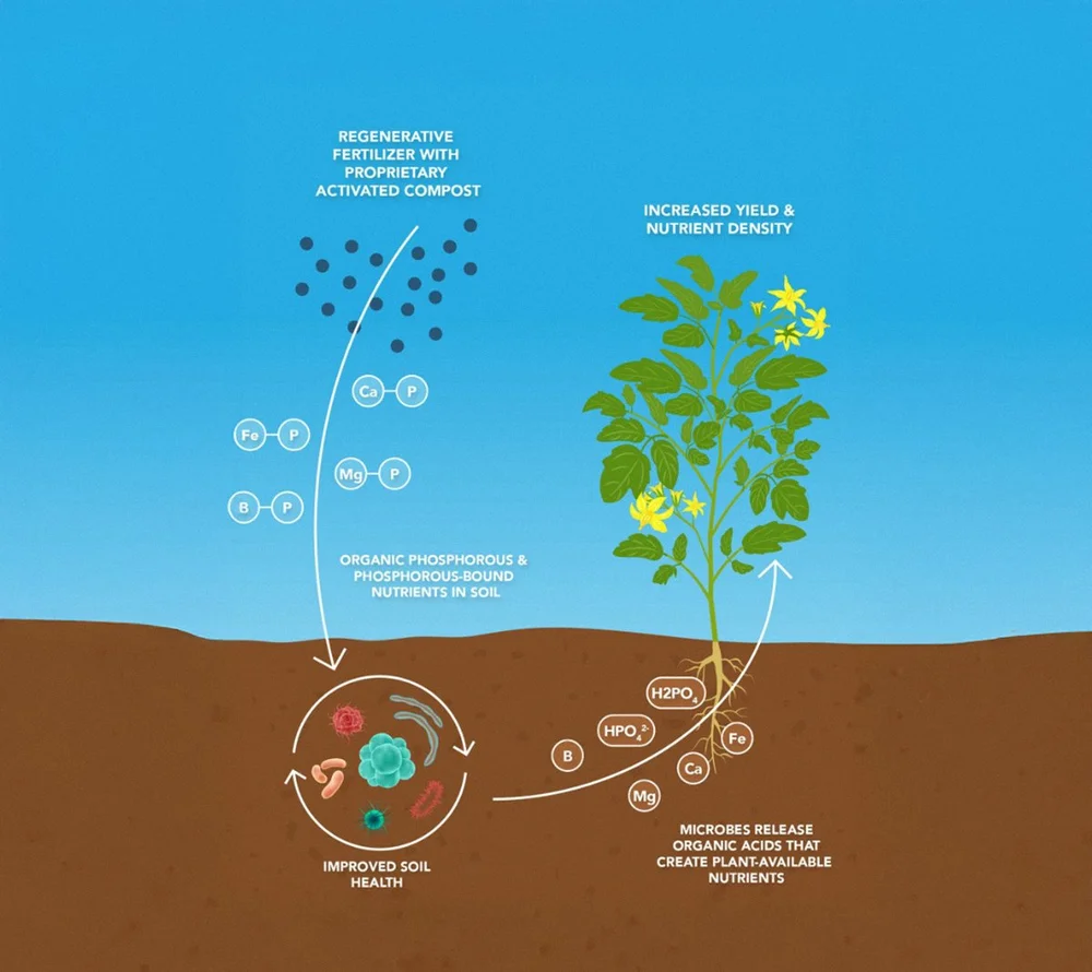How It Works — Replenish Nutrients 1