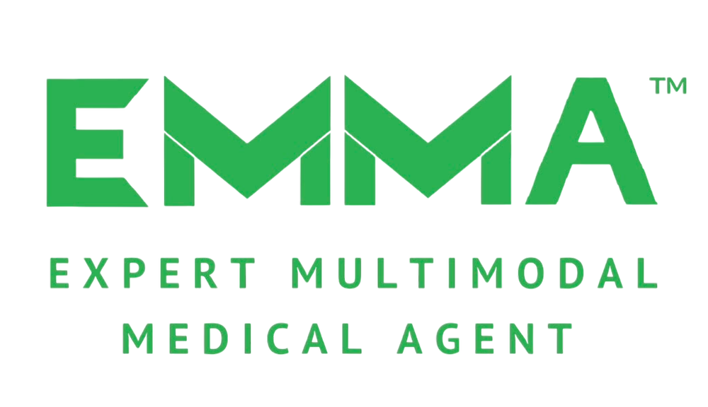 VisionMed - EMMA™ (Expert Multi-Model Medical Agent)