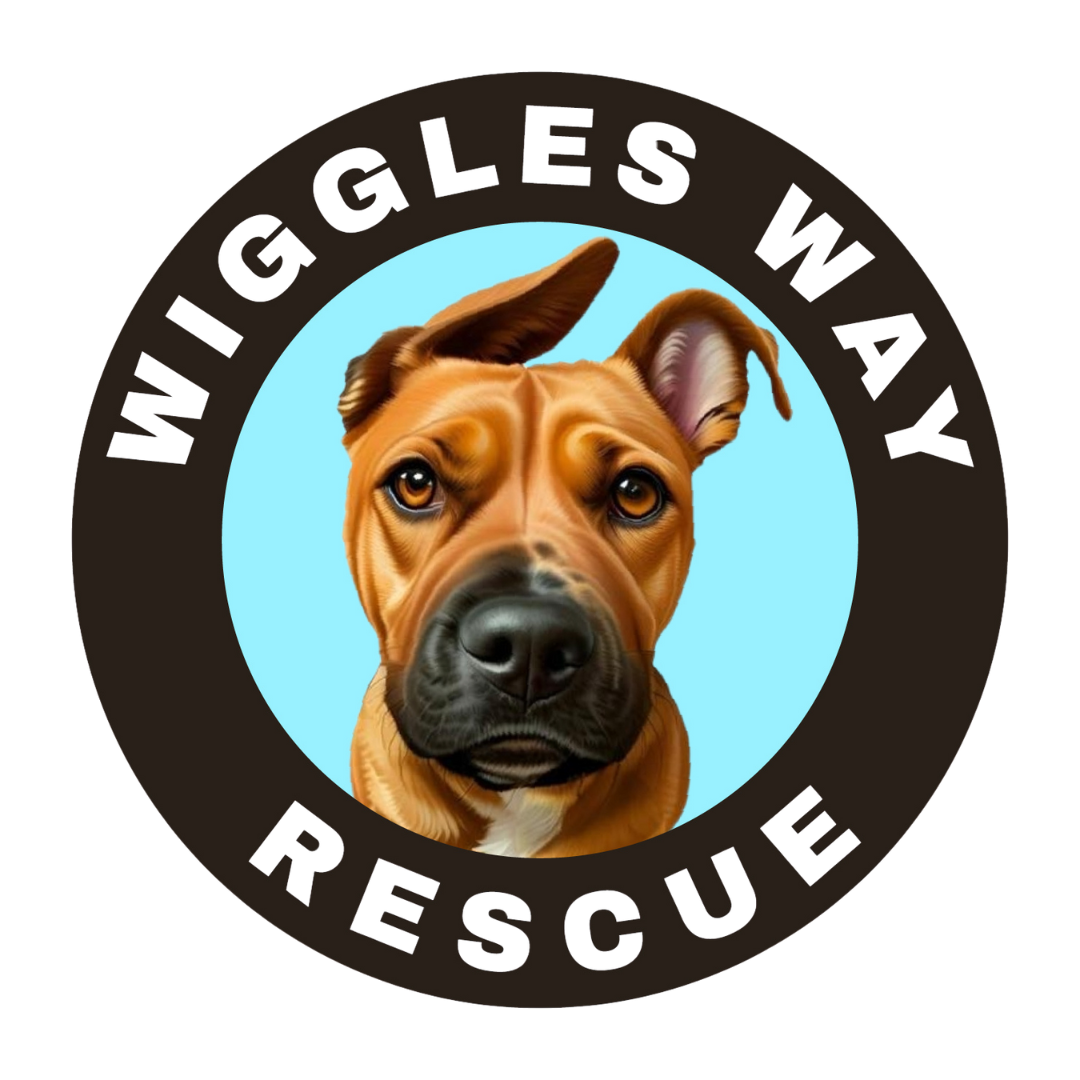 Available Dogs | Find Your Perfect Dog - Adopt Today — Wiggles Way Rescue