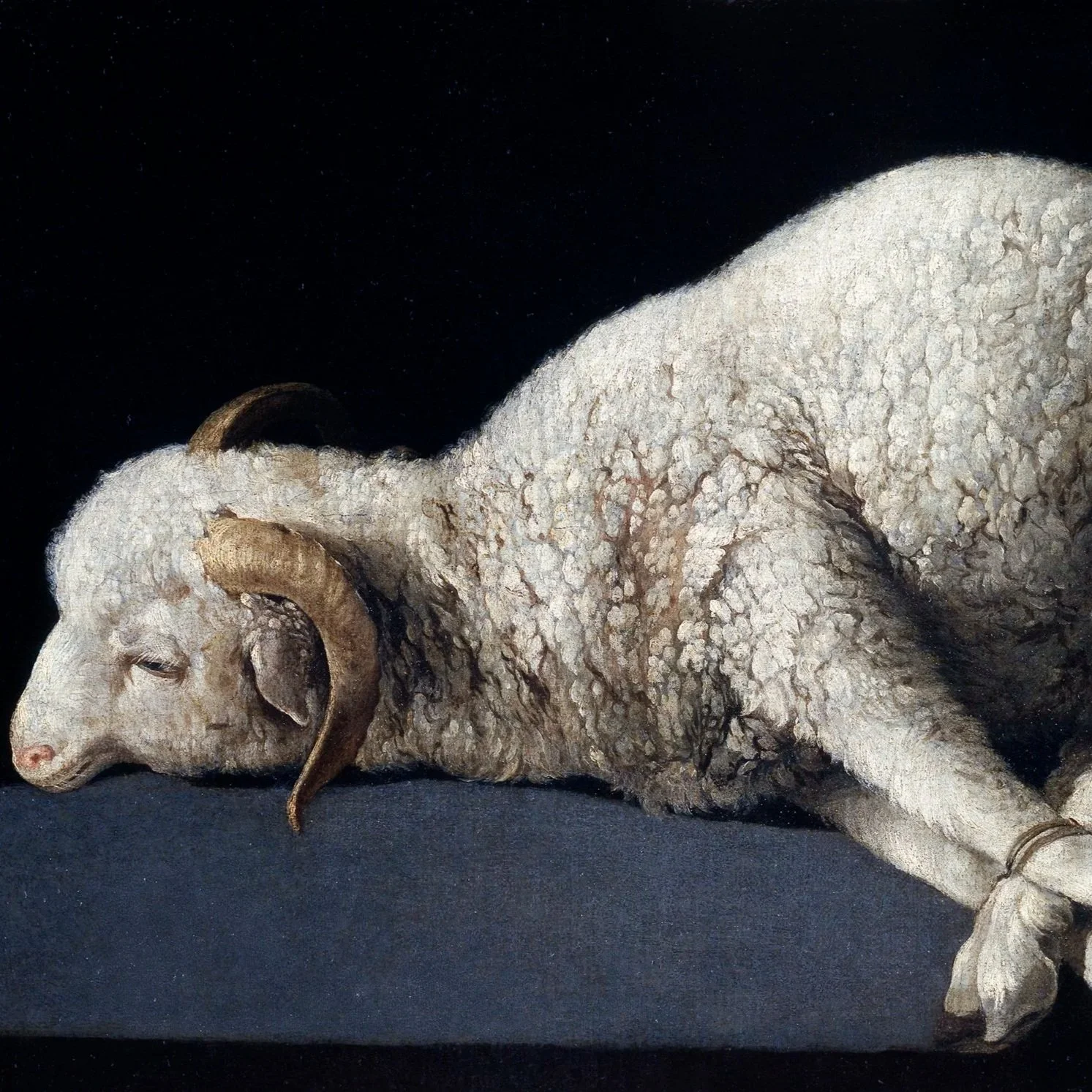 Come and See — Our Savior's Lutheran Church, Jackson, MN