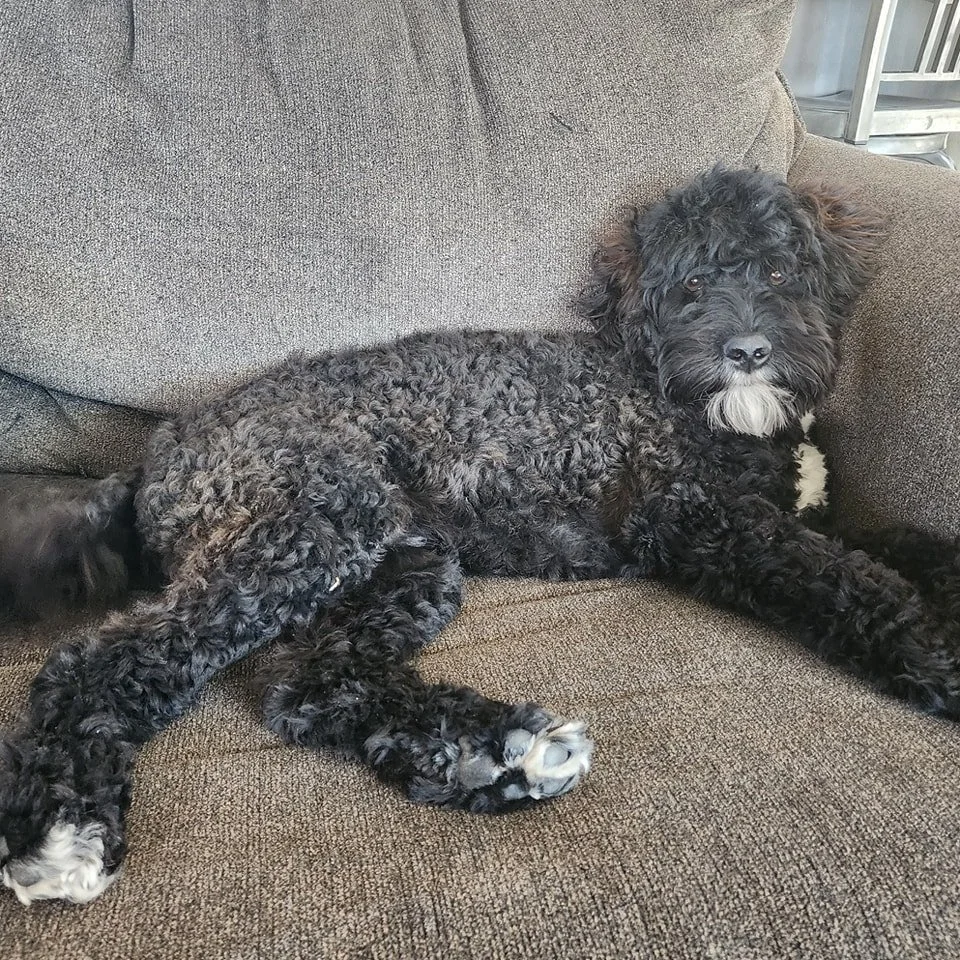 General 2 — Your Site Title