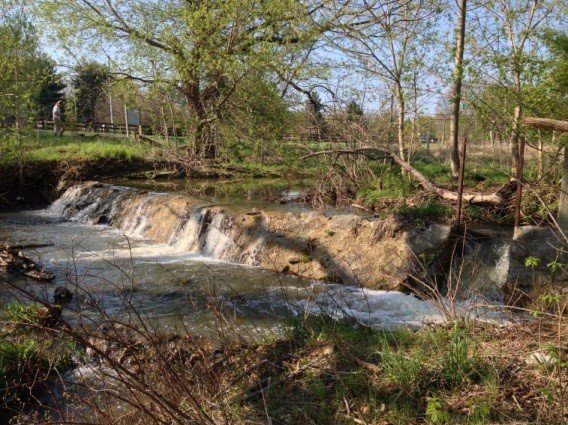 Septic System Improvements — Canaan Valley Institute