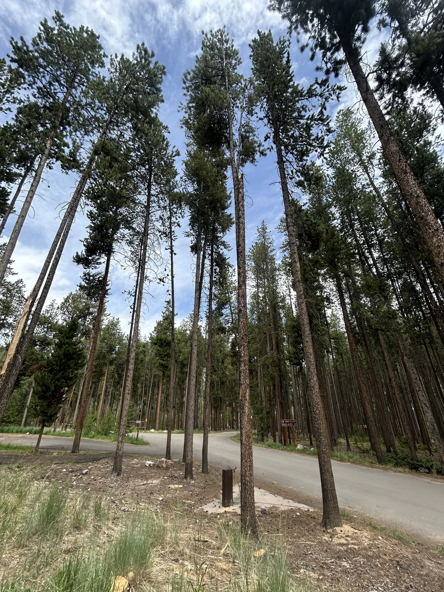 Moon Lake, Utah | Camping, Fishing & Cabins in the Uinta Mountains