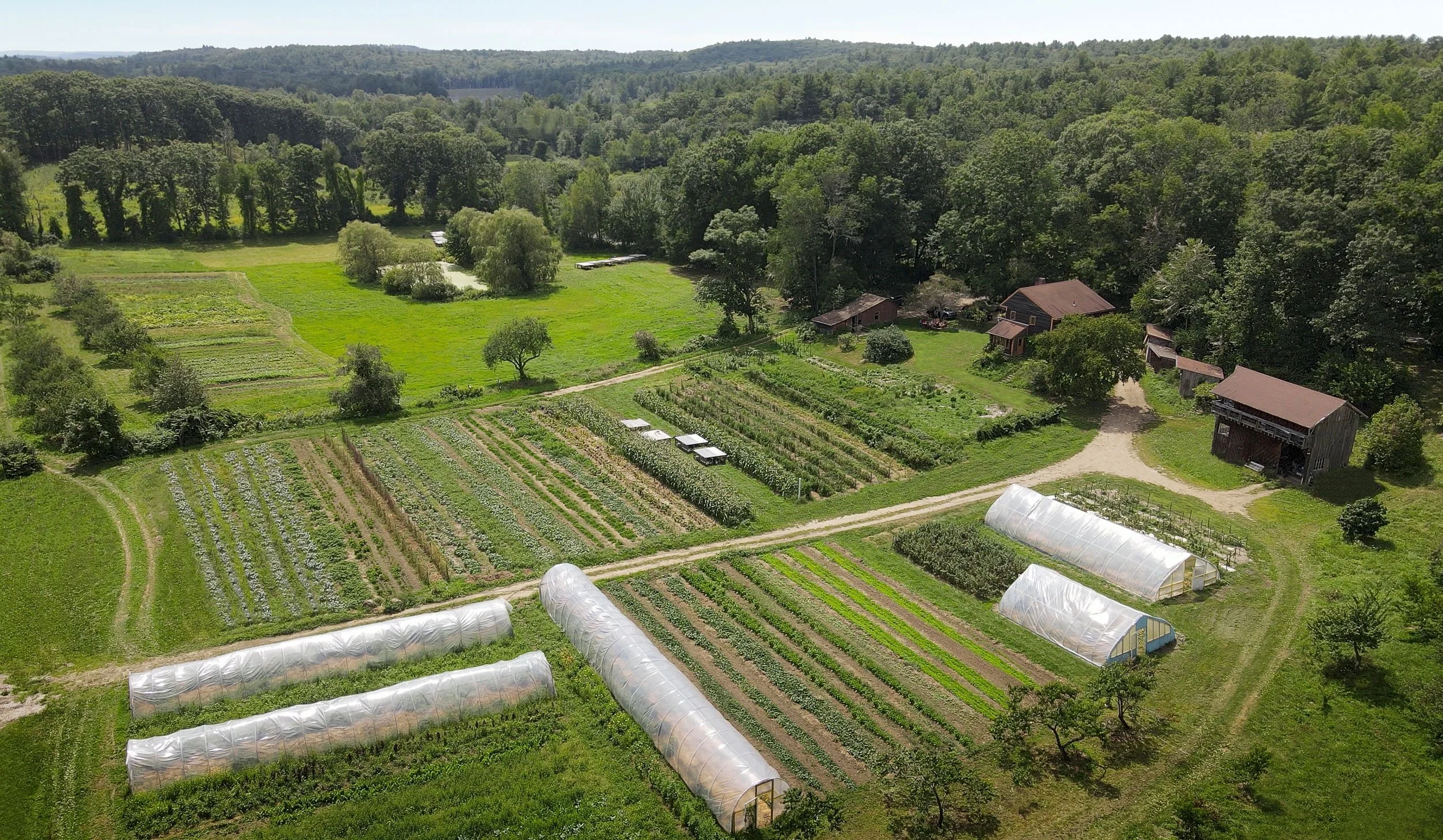 Dan Kittredge ~ Nutrient Dense Food Production