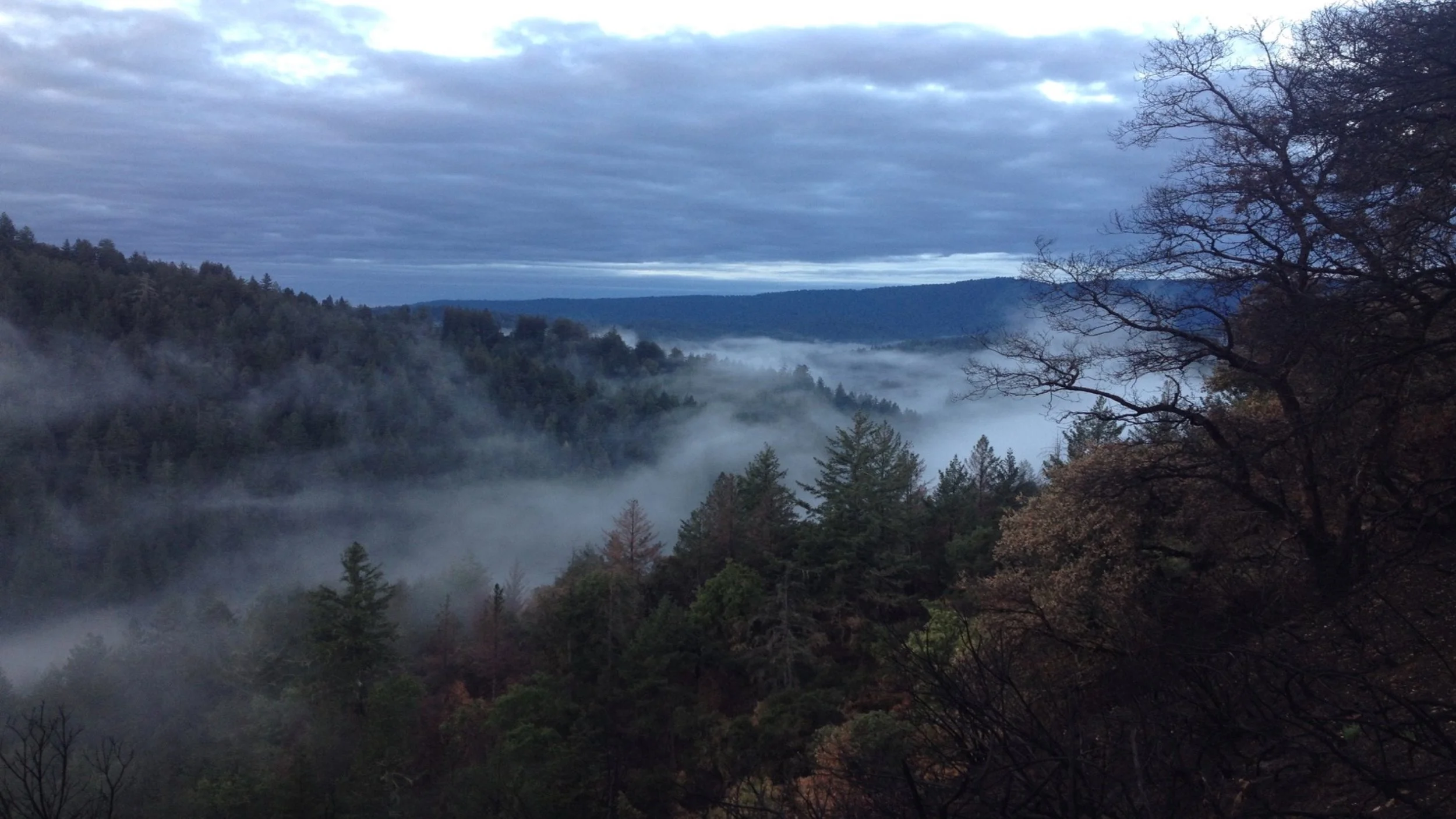 In It To End It – Sean Oakes