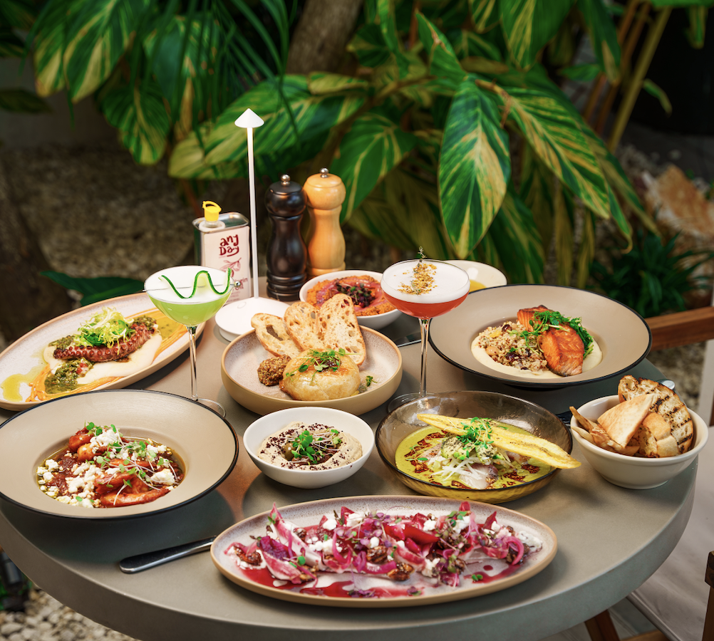 Anyday Boca Menus — Any Day
