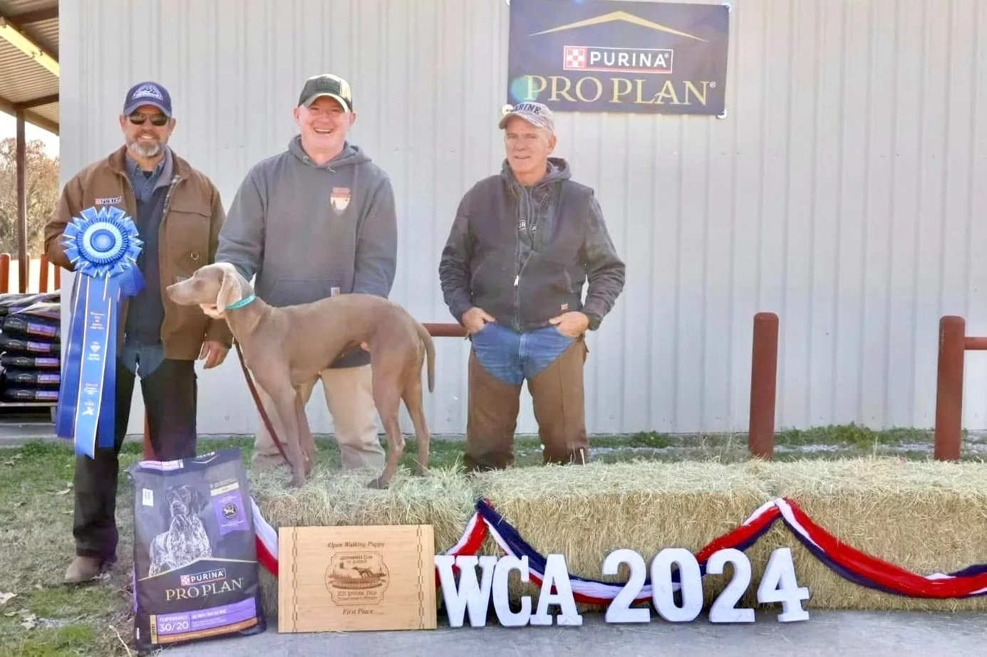 Next Generation — PM WEIMARANERS