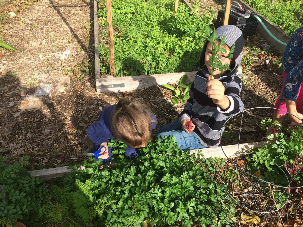 Farm Camp — The Compass School