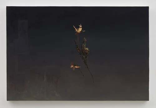 MARC HANDELMAN — Sikkema Malloy Jenkins