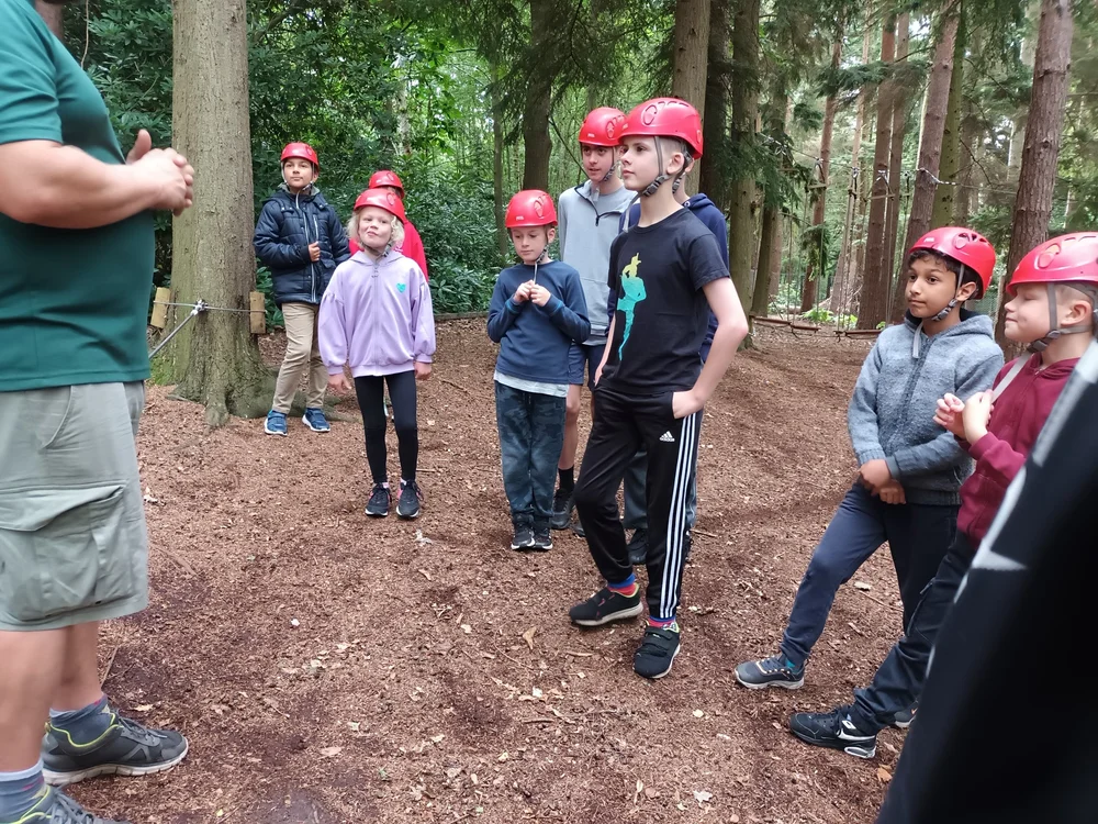 Low Ropes | Discover Teamwork Today — Walton Firs Activity Centre