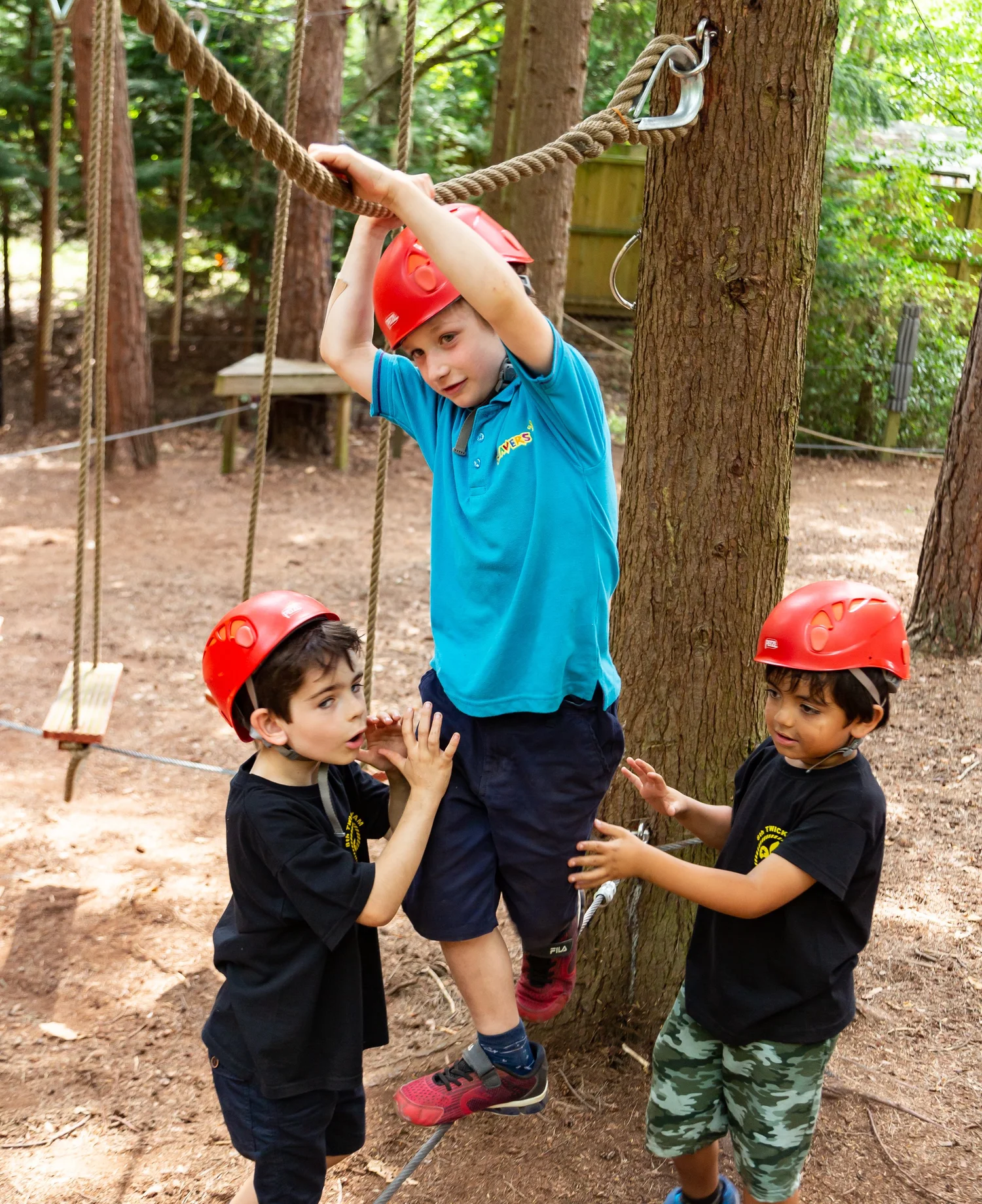 Low Ropes | Discover Teamwork Today — Walton Firs Activity Centre