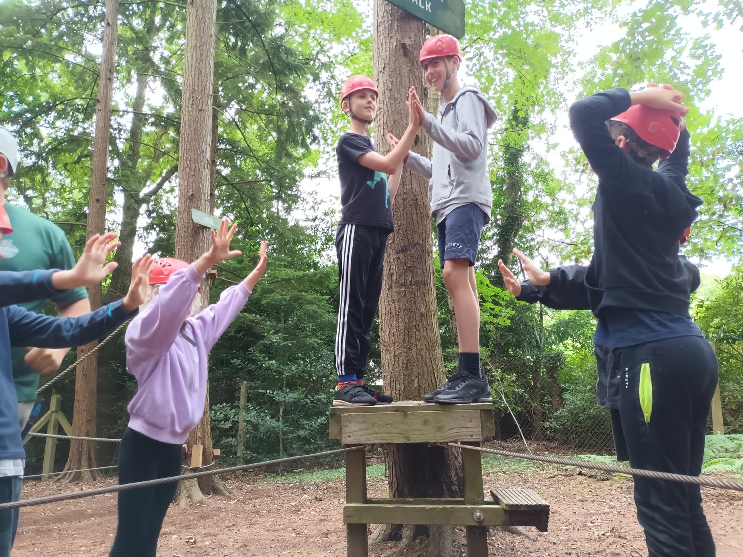 Low Ropes | Discover Teamwork Today — Walton Firs Activity Centre