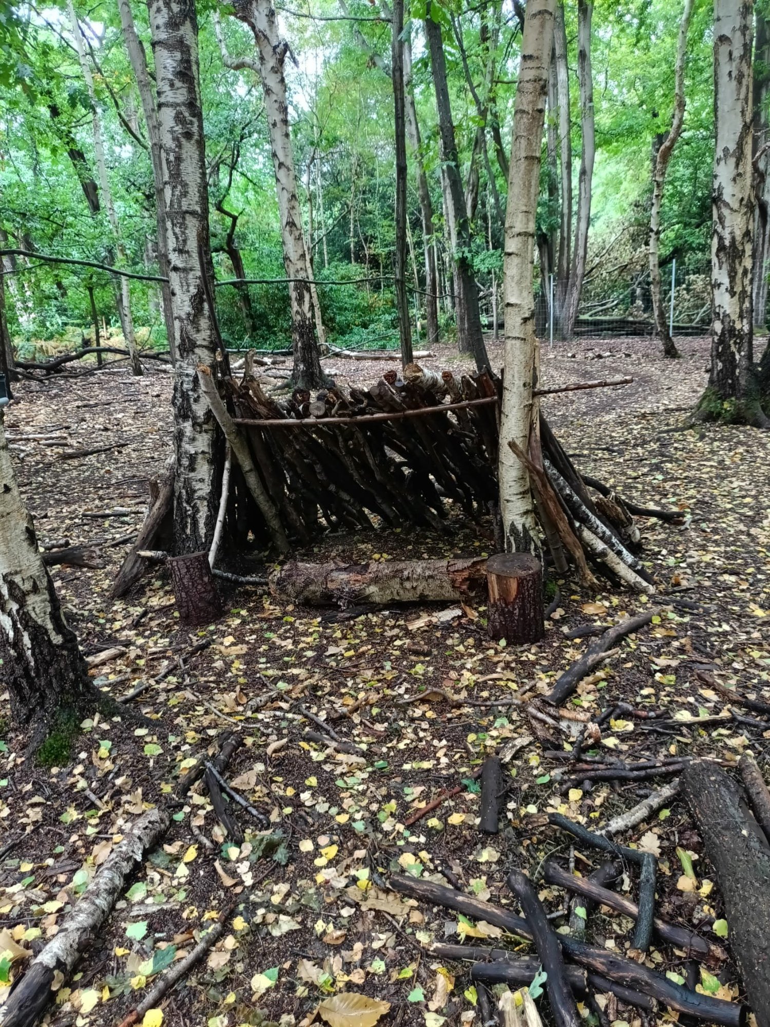 Shelter Building | Discover Shelter Building – Join Us Today — Walton ...