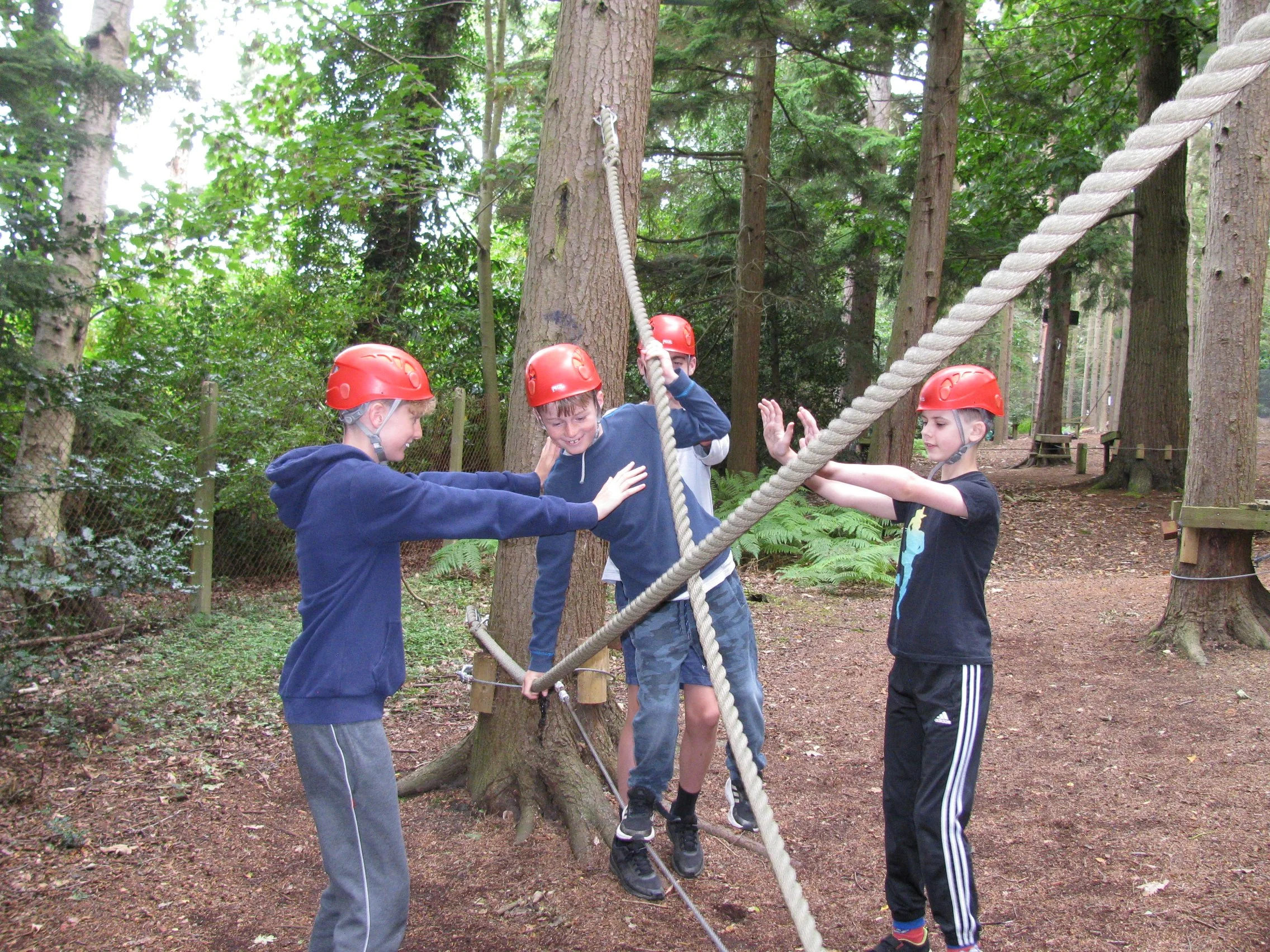 Low Ropes | Discover Teamwork Today — Walton Firs Activity Centre