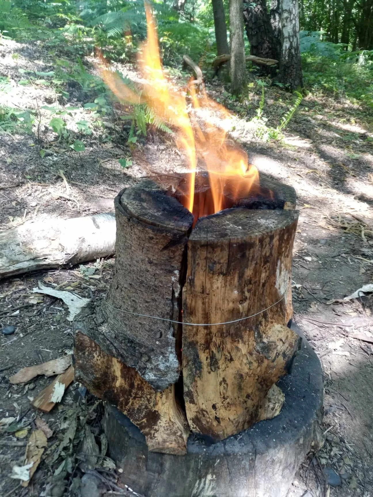 Swedish Log Fires | Learn Fire Skills — Book Your Session — Walton Firs ...